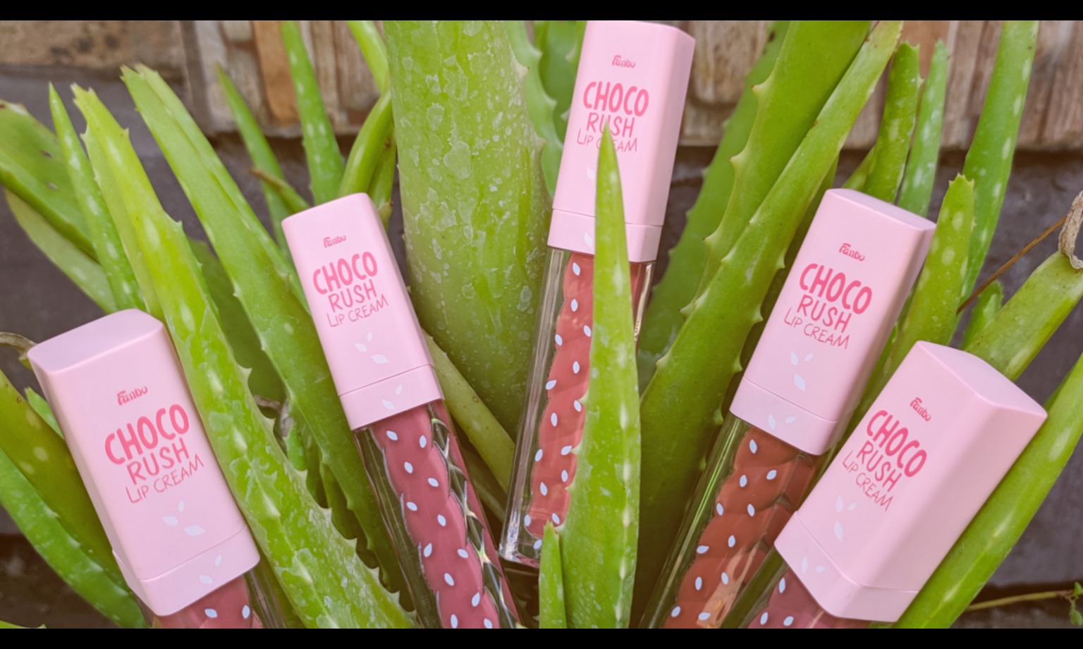 Review: Fanbo Choco Rush Lip Cream - Beauty Journal